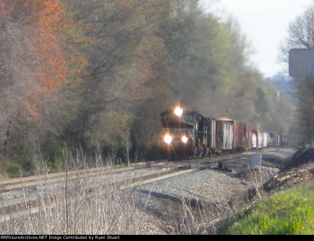 NS Mixed at Five Row
